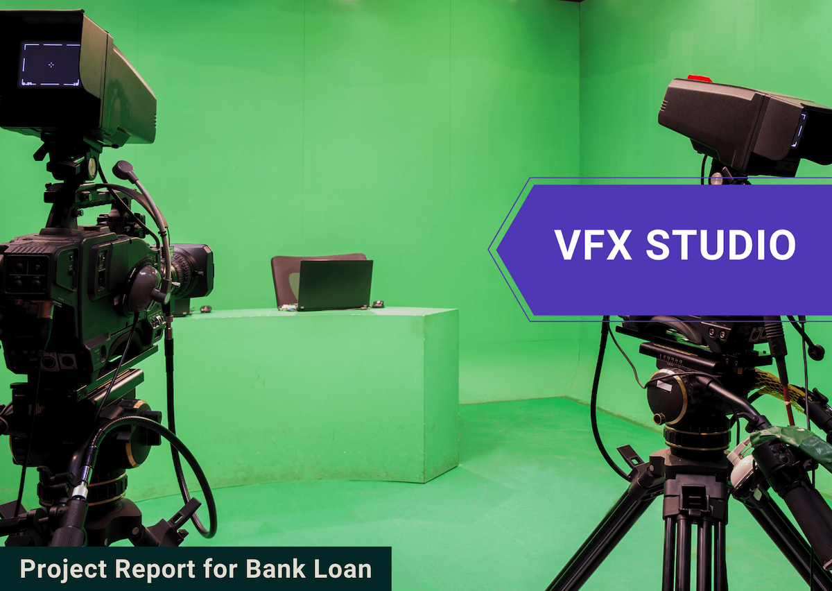 Project report for VFX studio bank loan